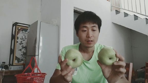 砀山酥梨还没熟就有人卖了?看看现在梨子有几成熟?