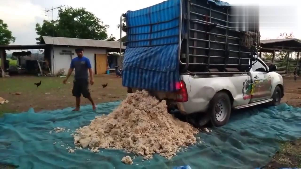 皮卡当货车,司机心真狠!