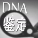 柏禾教育工作室 