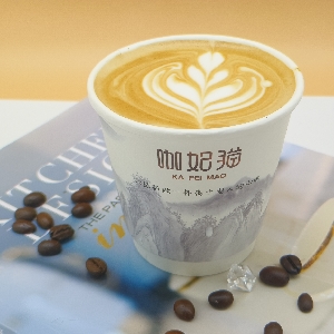 专注奶茶咖啡技术培训 