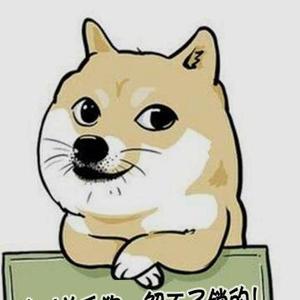 单身狗俱乐部520 