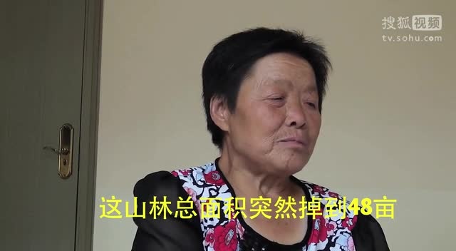 湖北十堰房县农民80多亩林地使用权几番周折