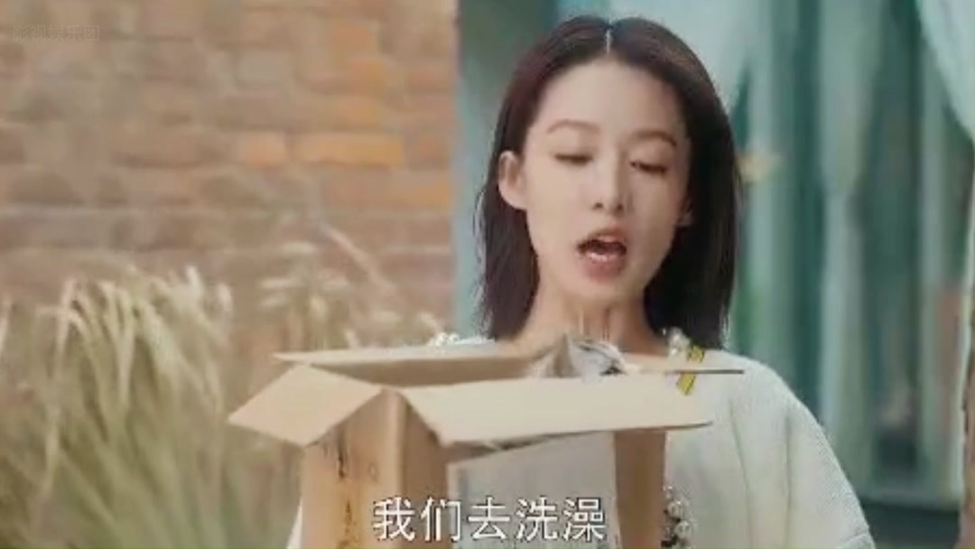 你会在街上把流浪猫带回家吗