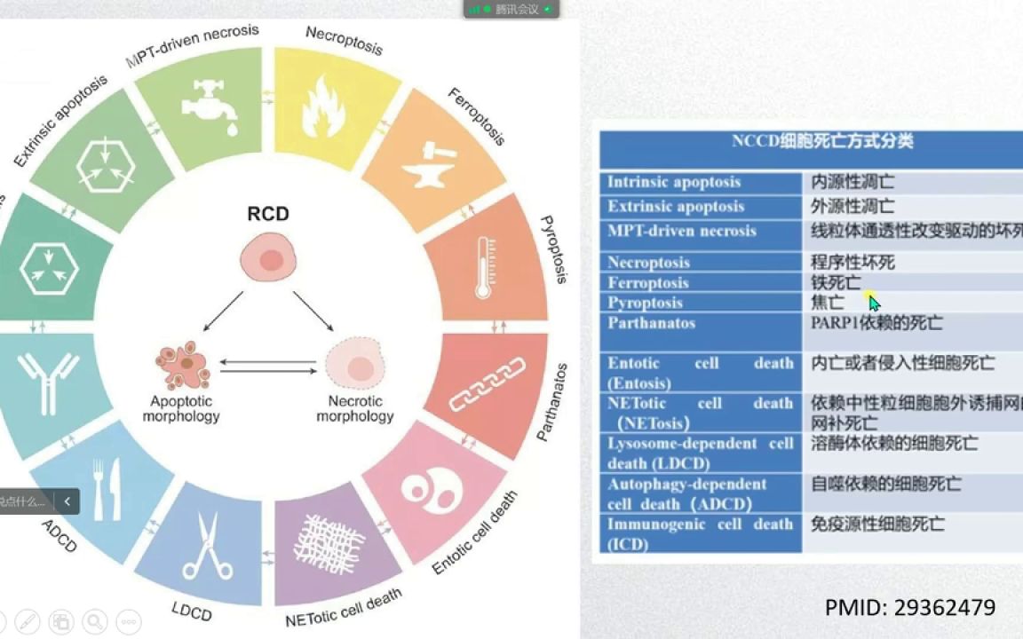 用R语言做统计分析初高级会议医学会员免费学