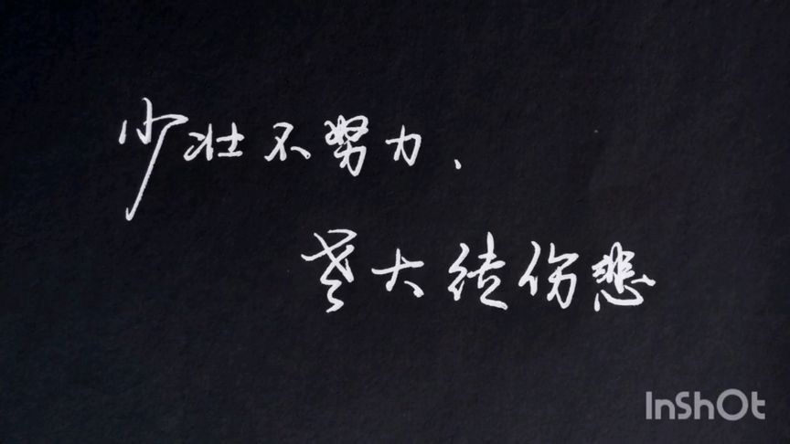 硬笔行书汉乐府《长歌行》,百川东到海,何时复西归