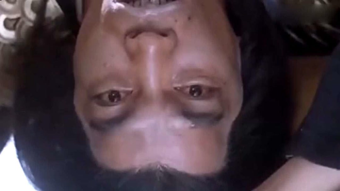 英叔用符纸变出信鸽向徒弟传信,没想到竟被饿坏的将军吃了