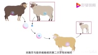 四年级 克隆技术 科普视频