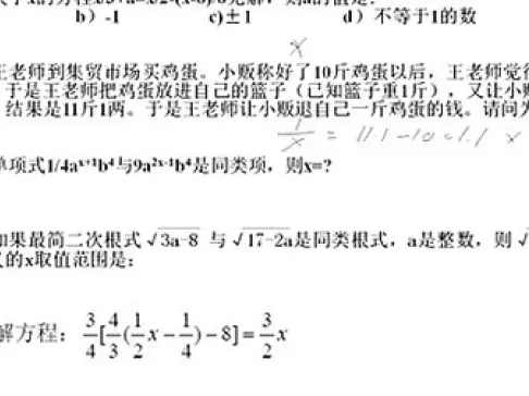 初中数学总复习1 代数4 一次函数