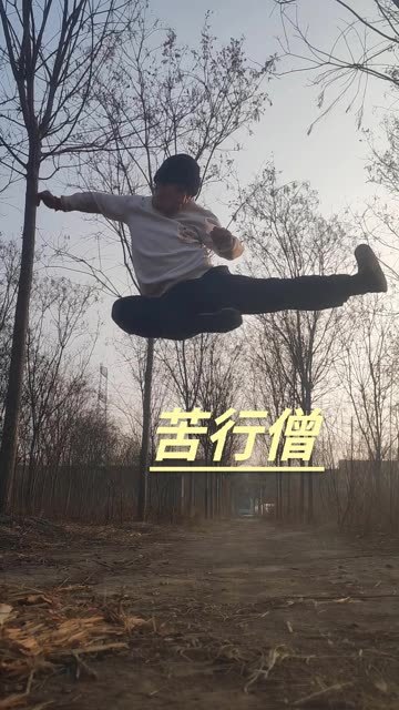 光合计划助手中国传统武术运动