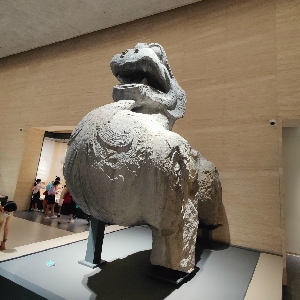 全品类阿婆主我是阿木 