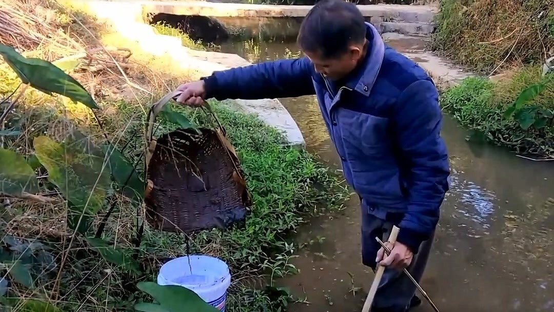 注意了!农村这6样东西禁止使用,被发现后不仅罚款 还可能判刑!