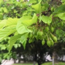 ༺ཌ༈歲月༈ད༻ 