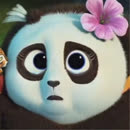 panda没有黑眼圈啊 