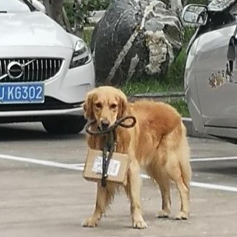 佩佩爱美 