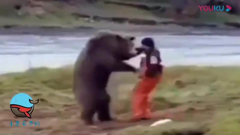 俄罗斯人打架都是找熊打架,厉害!