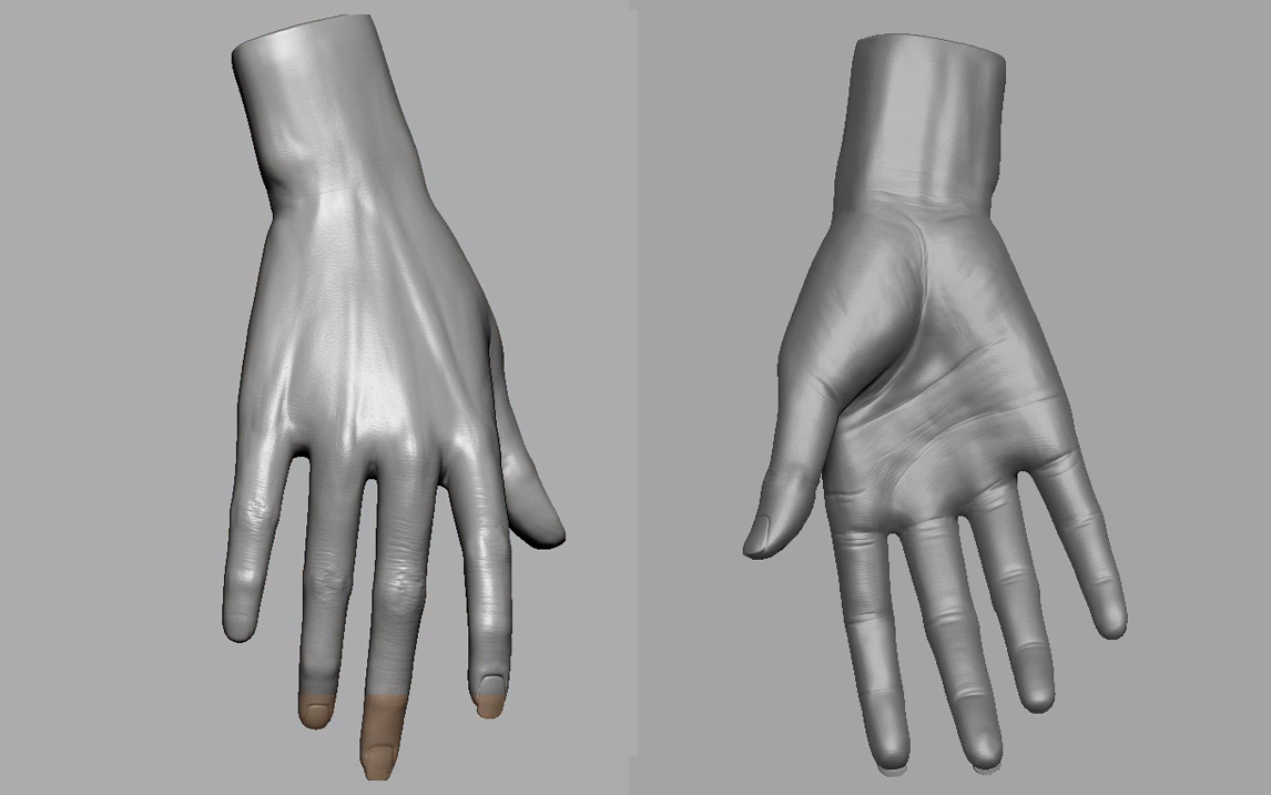 【zbrush新手教程】人物手部皮肤纹理结构ZB雕刻技巧演示——女性...