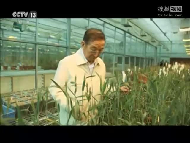 央视新闻频道《2016我和我的祖国国庆特别节目》宣传片