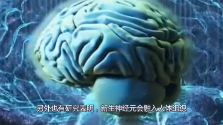 大脑到30岁才成熟?为什么有这样说法,其实健康大脑90岁还在发育