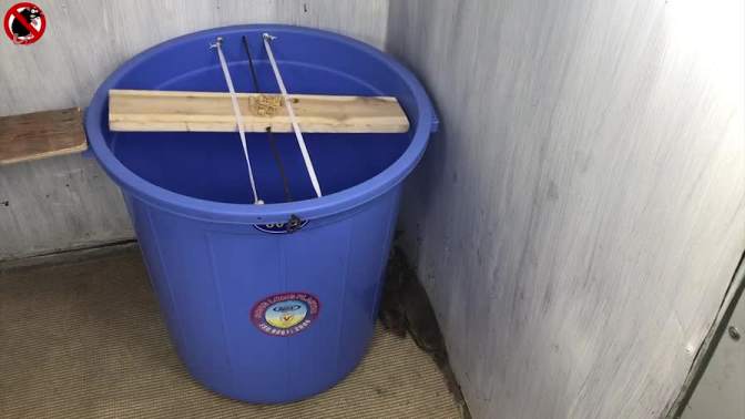 教你如何用水桶制作一个简单又高效的捕鼠器