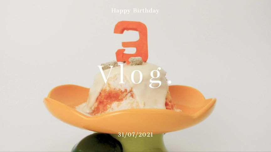 Vlog|㊗️拜拜姐姐生日快乐 #宠物蛋糕 #宠物蛋糕制作 #宠物vlog