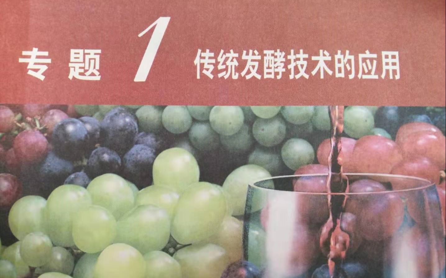 高中生物选修一专题一演示实验 果酒果醋腐乳泡菜