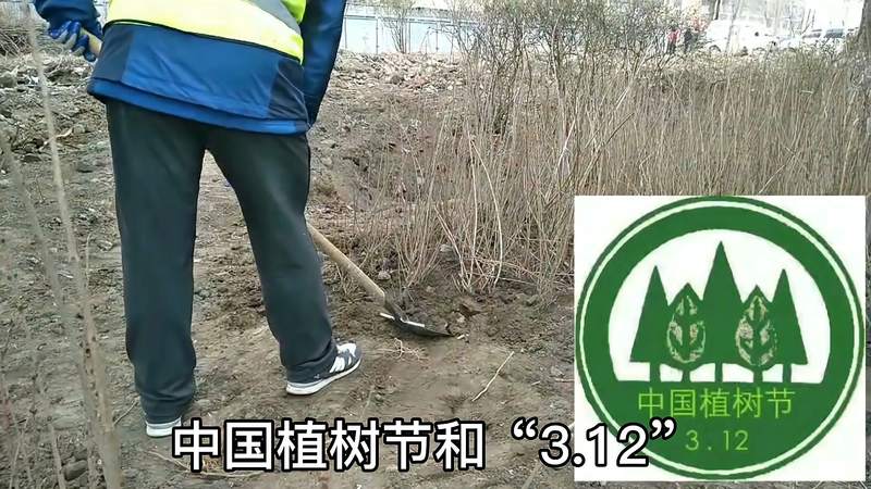 中国植树节节徽有什么含义?植树造林美化祖国,人人有责