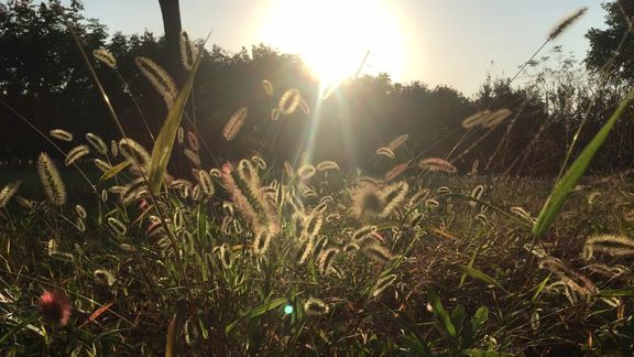 发现生活中的美好!