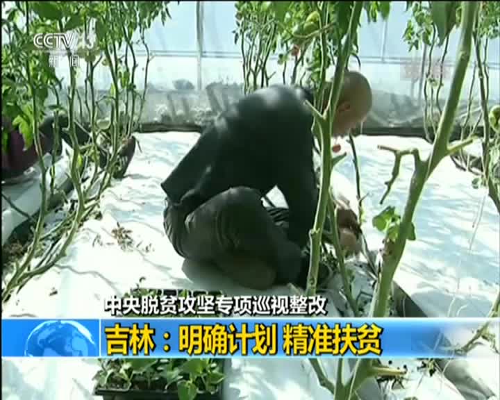 中央脱贫攻坚专项巡视整改:吉林-明确计划 精准扶贫