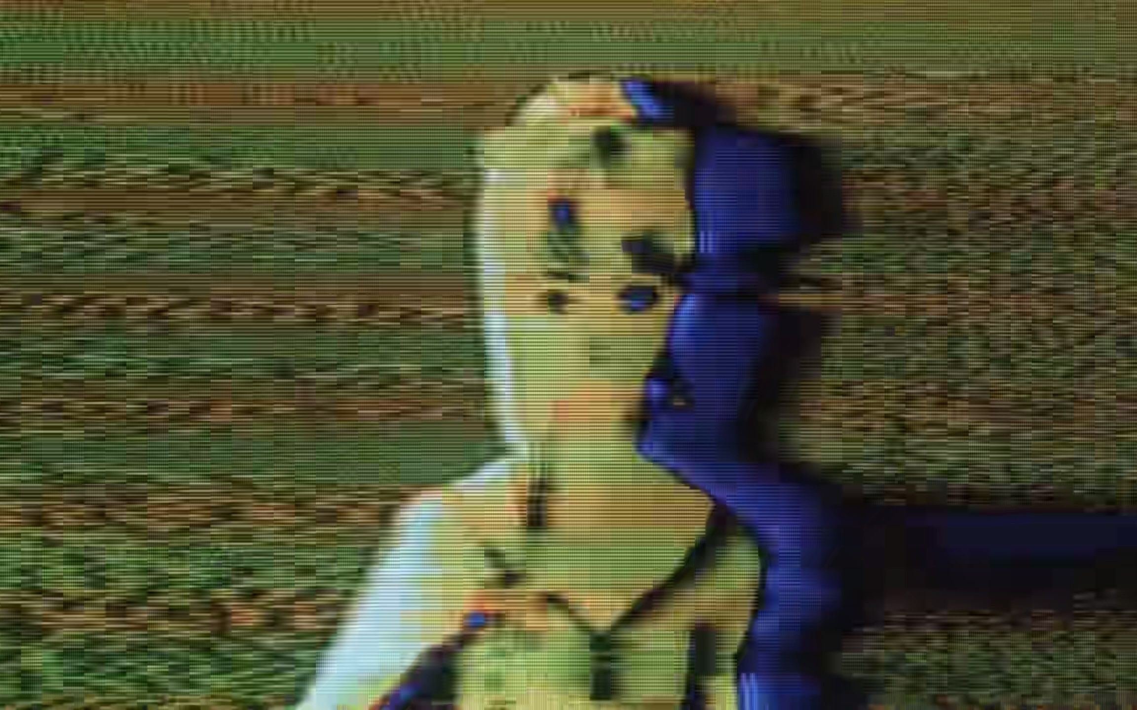 【CSGO】冲击星:他超过了很多音乐盒