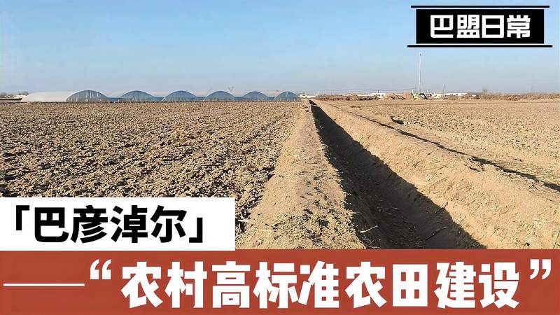 你对国家高标准农田建设项目了解吗?快来看看巴彦淖尔实施的咋样