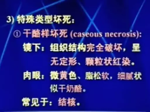 3 细胞和组织的适应与损伤(3)