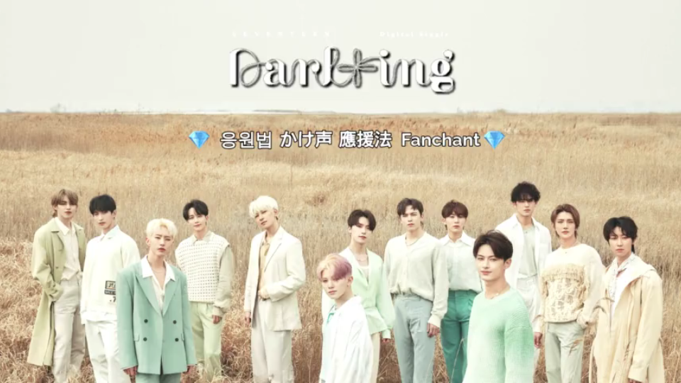 [LIVE 應援法]] SEVENTEEN - Darl+ing