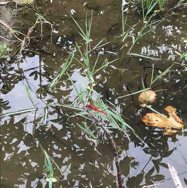 哈哈哈哈爱上你 