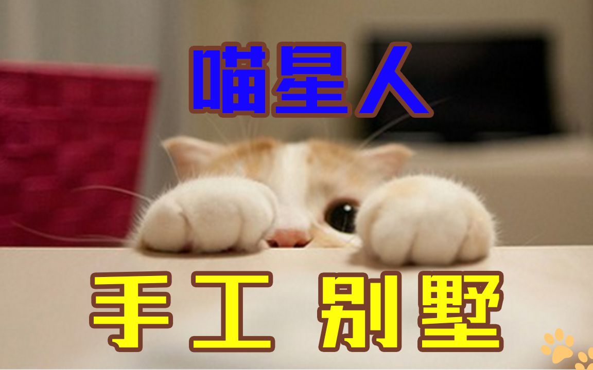 从设计,生产,施工,小姐姐挑战一个人为宠物建别墅
