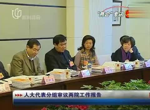 上海市人大代表分组审议两院工作报告