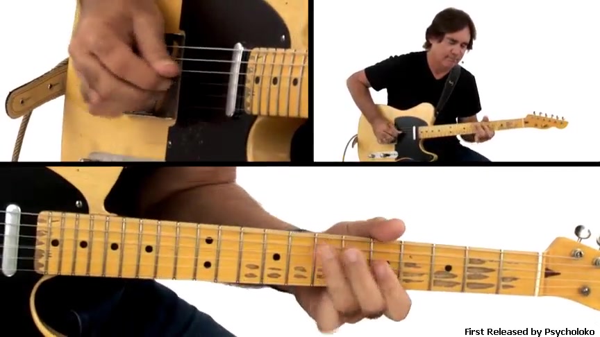 Truefire - Carl Verheyen's S.W.A.T. Sessions Country (2016)