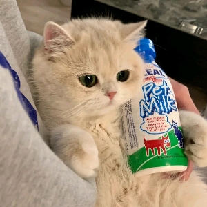 瑜瑜jiay 