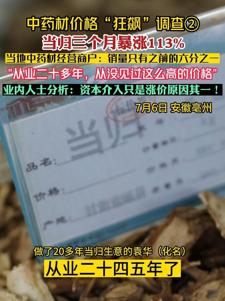 中药材价格"狂飙"调查②:当归三个月暴涨113%,当地中药材经营商户:...