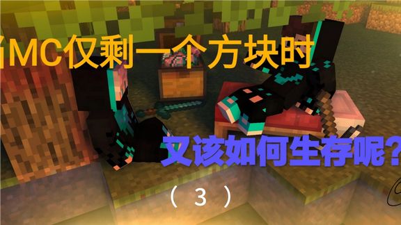 我的世界单人单方块生存