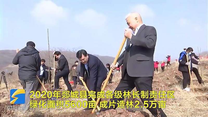 42秒|郯城县组织开展义务植树活动 栽植树木1.2万株