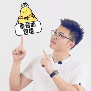 泰普勒跨境咨询六哥 