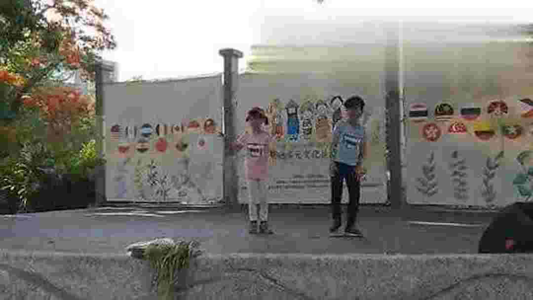 海草舞幼儿舞蹈教学简单易学儿童少儿舞蹈视频