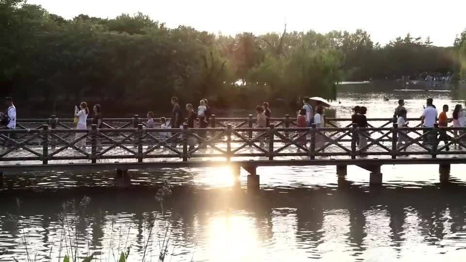 上海野生动物园@你,清明假期来赏花,看动物啦!