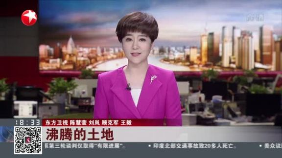 沸腾的土地:更自由、更高效的洋山特殊综合保税区