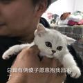 抖子刘刘 