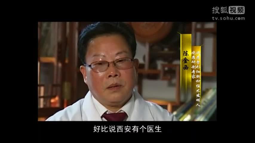 陈金西教授:台湾东森电视台【世界看中华】上集!
