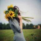 霸王花角角斯密达 