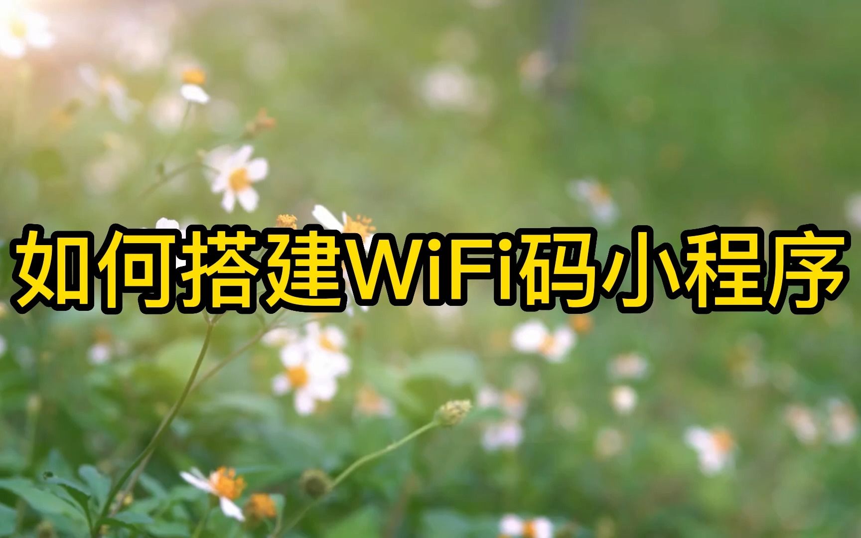 如何搭建WiFi码小程序,为什么要搭建自己的小程序平台?