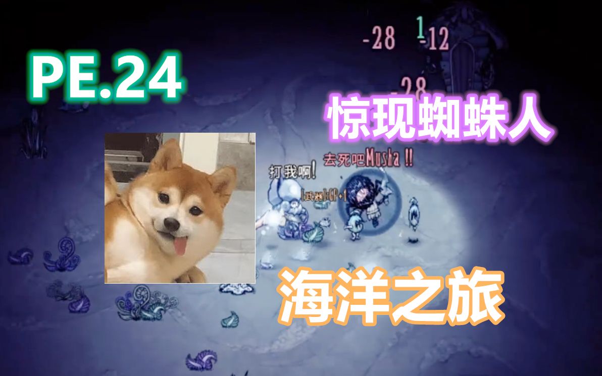 【ROG/SW精灵公主】开启海难传送门