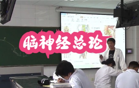 脑神经总论 周围神经系统 解剖学